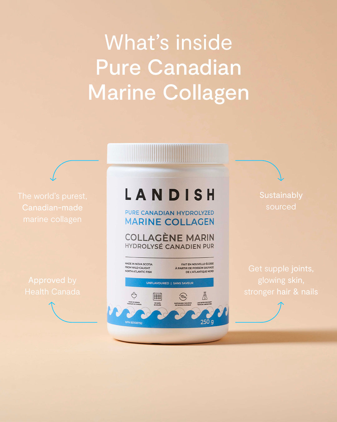Landish Pure Canadian Marine Collagen 250 g Unflavoured Powder ...